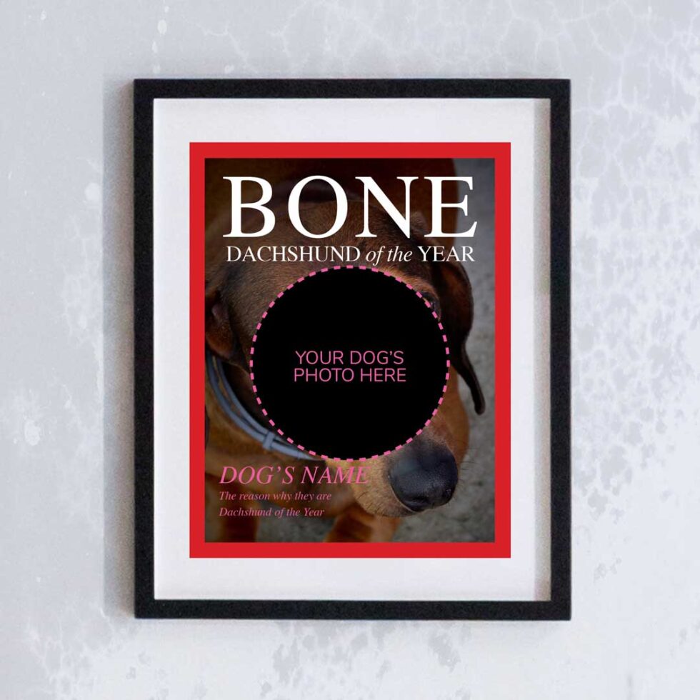 Bone Magazine - Miss WeinerVerse